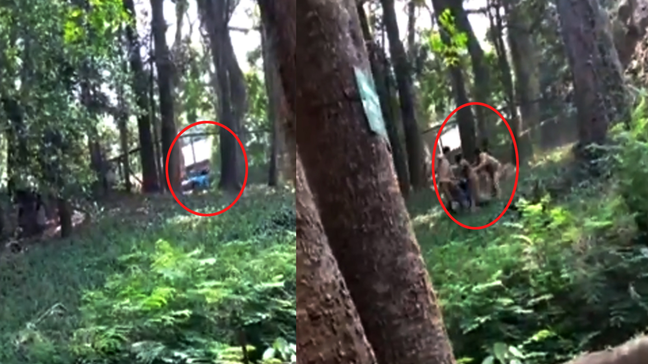 Insane! Man jumps into lion closure to ‘have a chat’ - Suryan FM