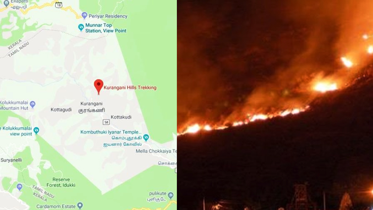 Theni forest fire: death toll rises, Latest updates - Suryan FM