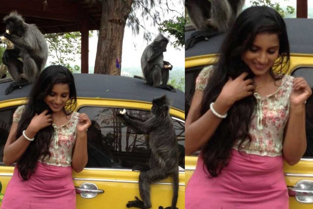 Actress Ammu Ramachandran- Photo Gallery - Suryan FM